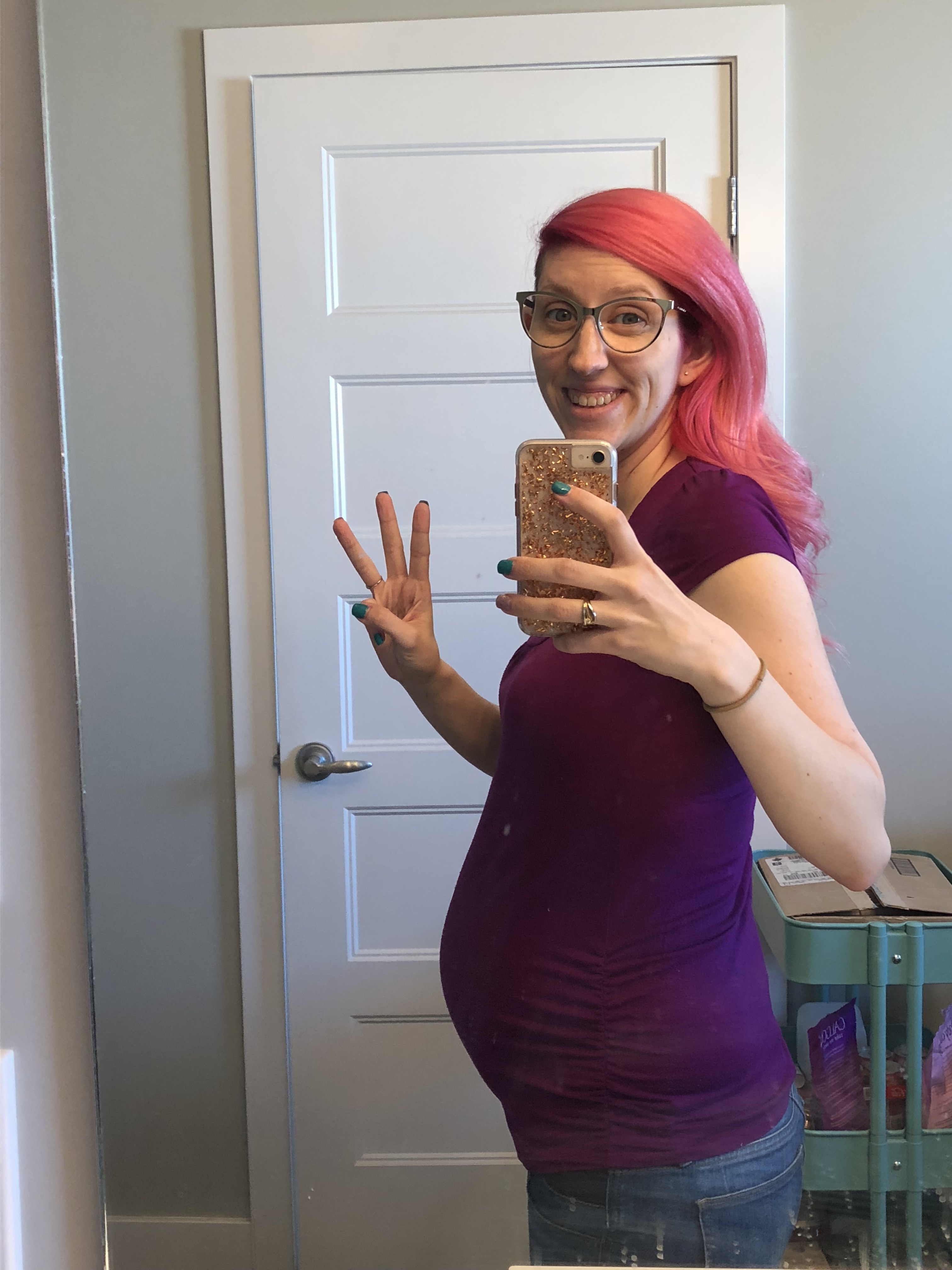 Womb in Bloom: 27 Weeks – The Daily Hailey