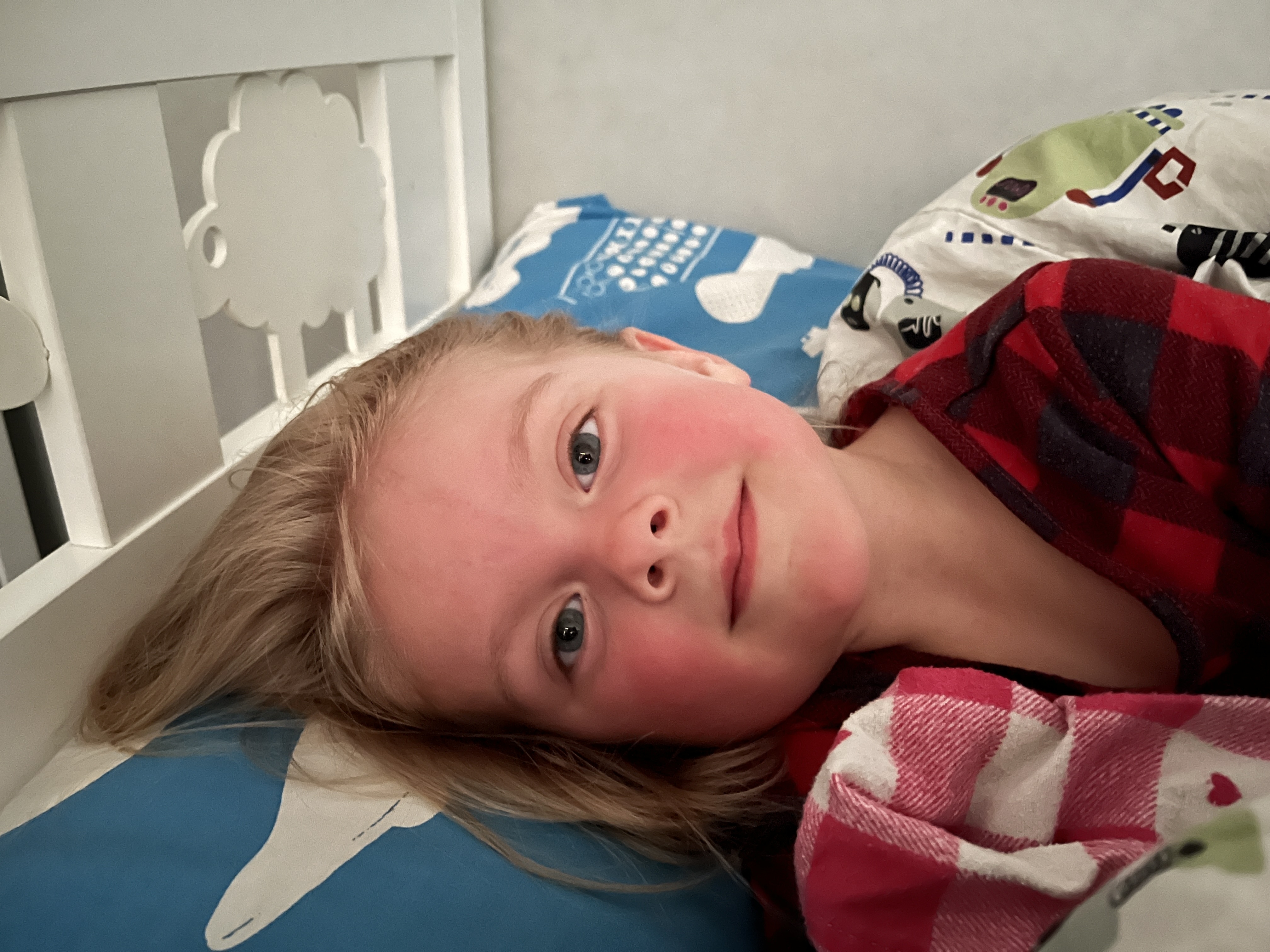 The Hot, Windy Walk – The Daily Hailey