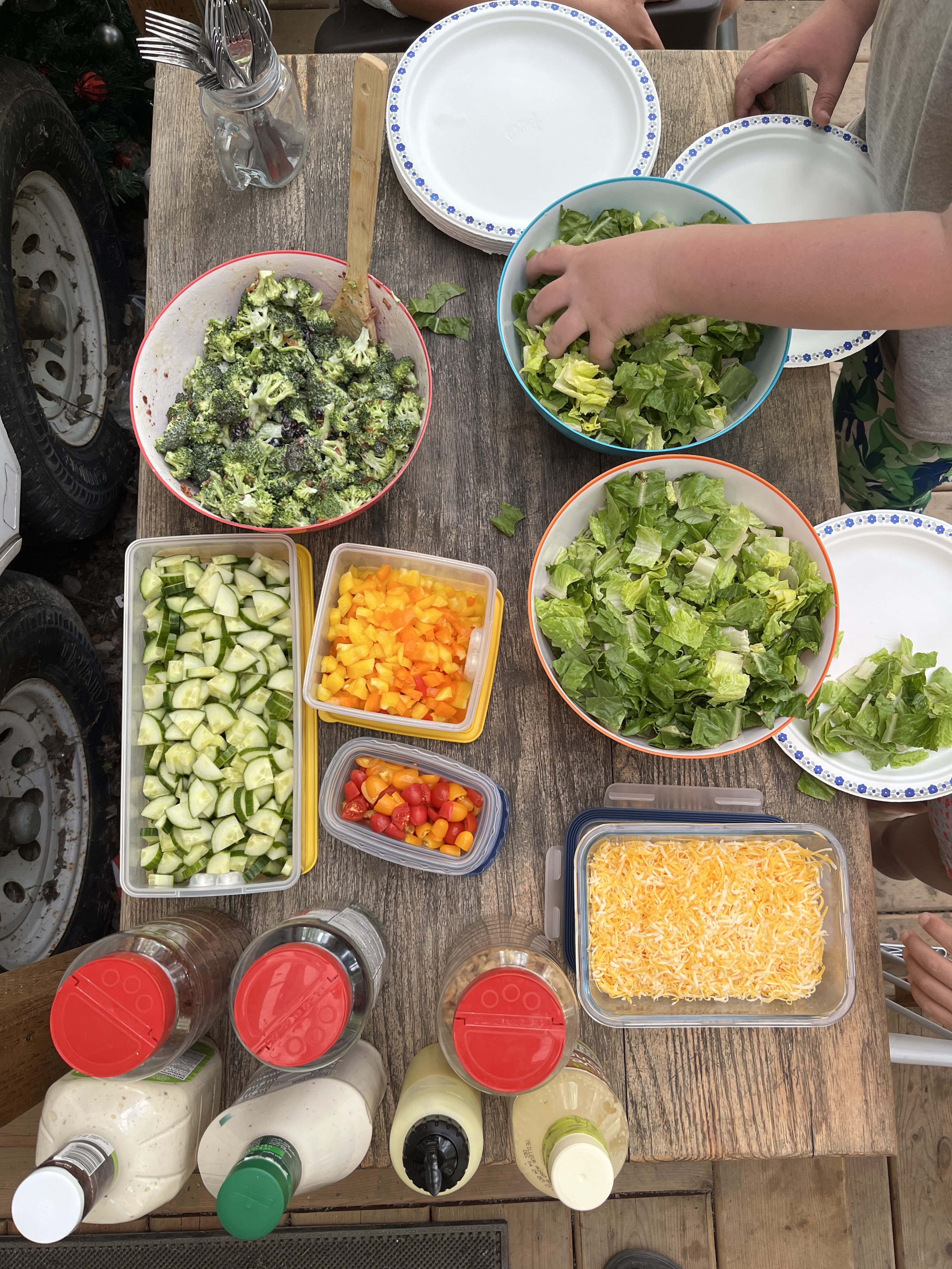 Bright Spots – The Daily Hailey